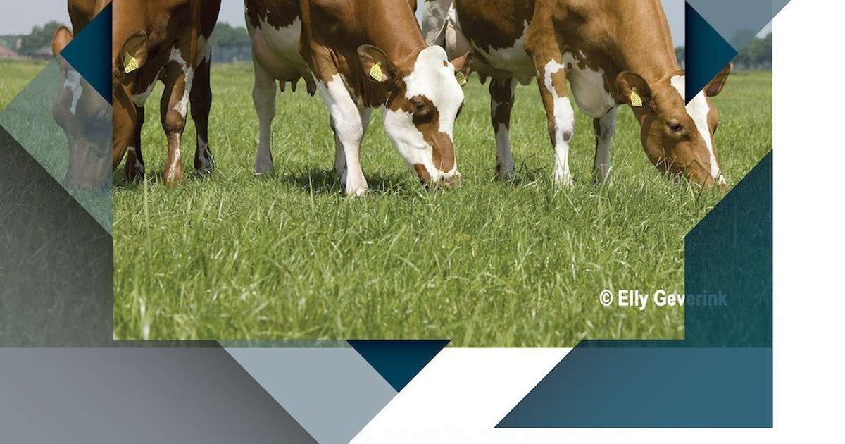 Dovea Launch Dairy Coloureds Sires | Dovea Genetics | A.I. Supplies