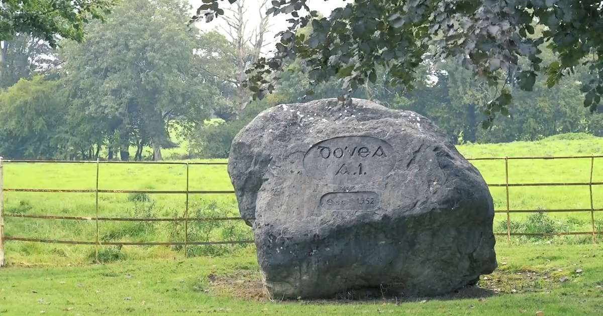 Dovea Genetics | News and Updates