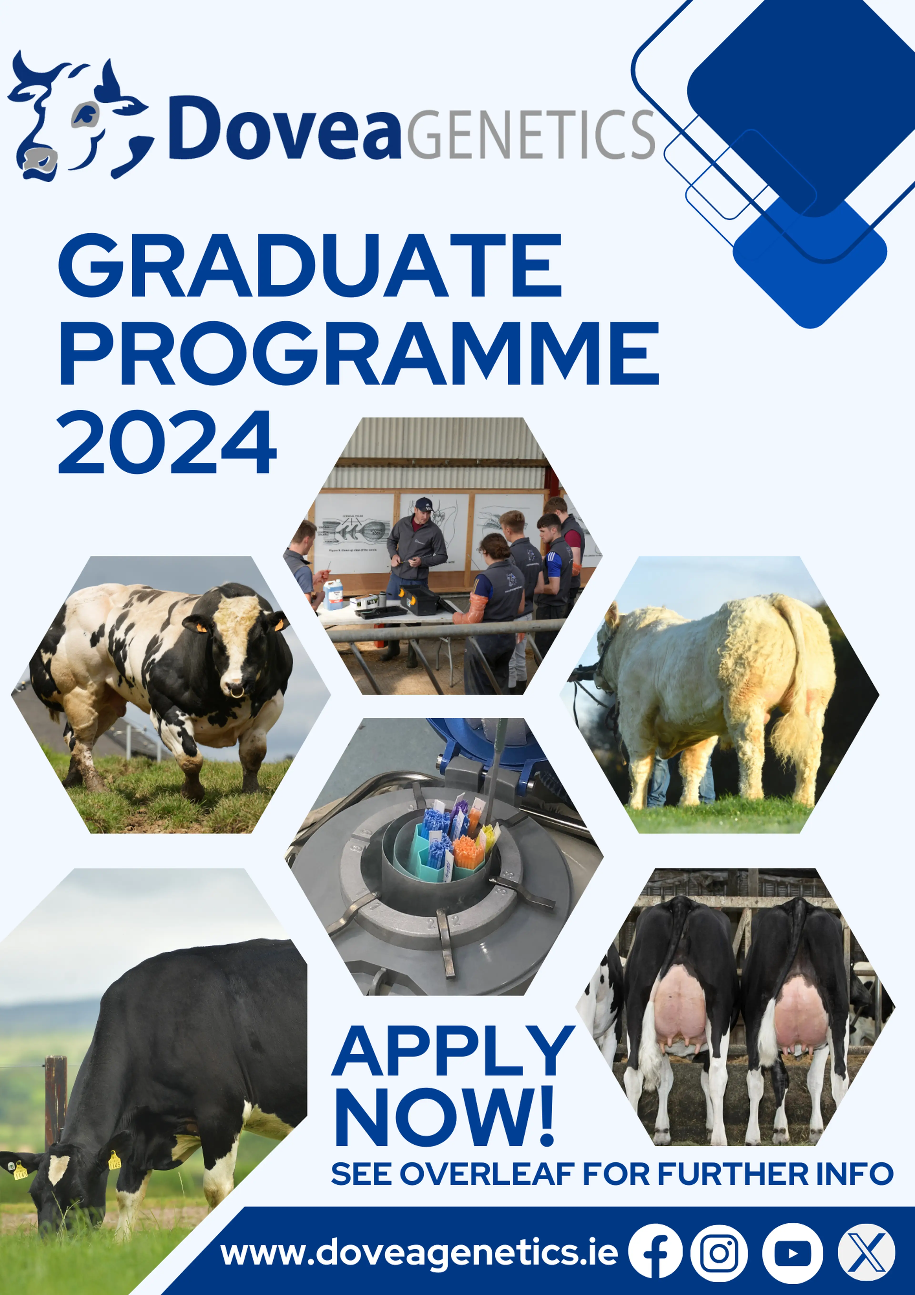 Dovea Genetics | Suppliers of Dairy and Beef Semen